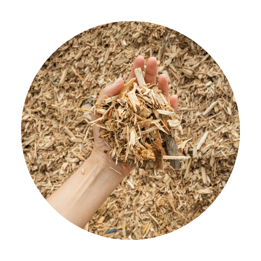 Green Biomass de México