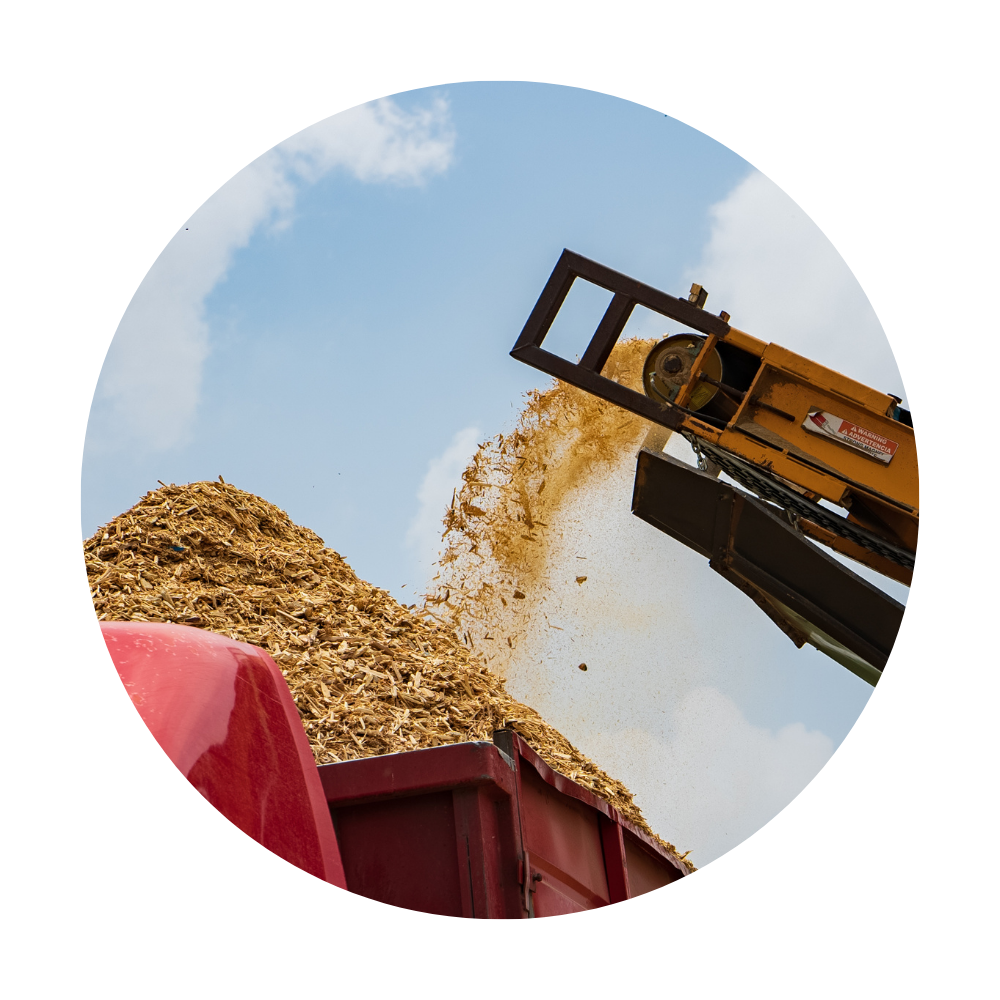 Green Biomass de México