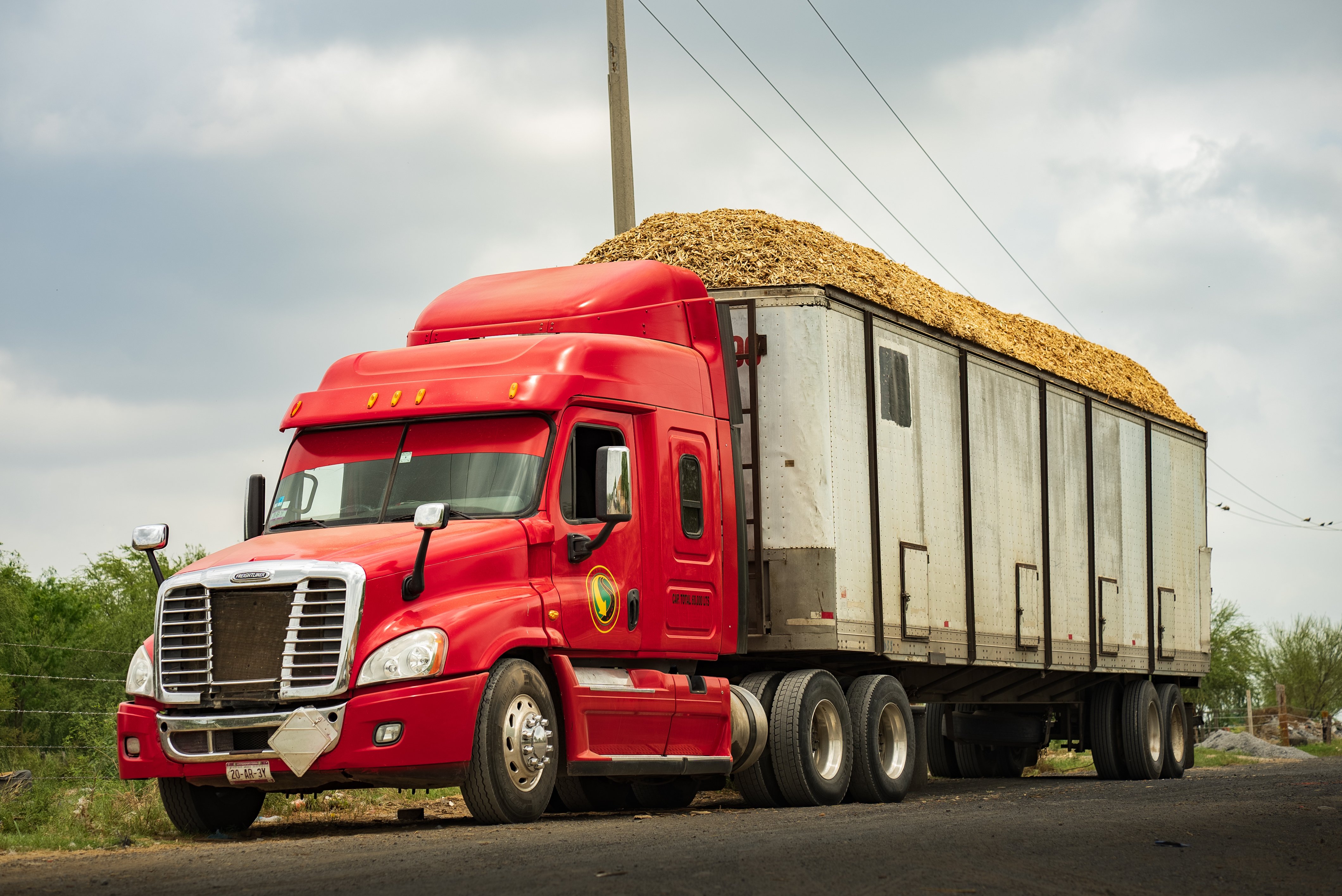 Green Biomass de México